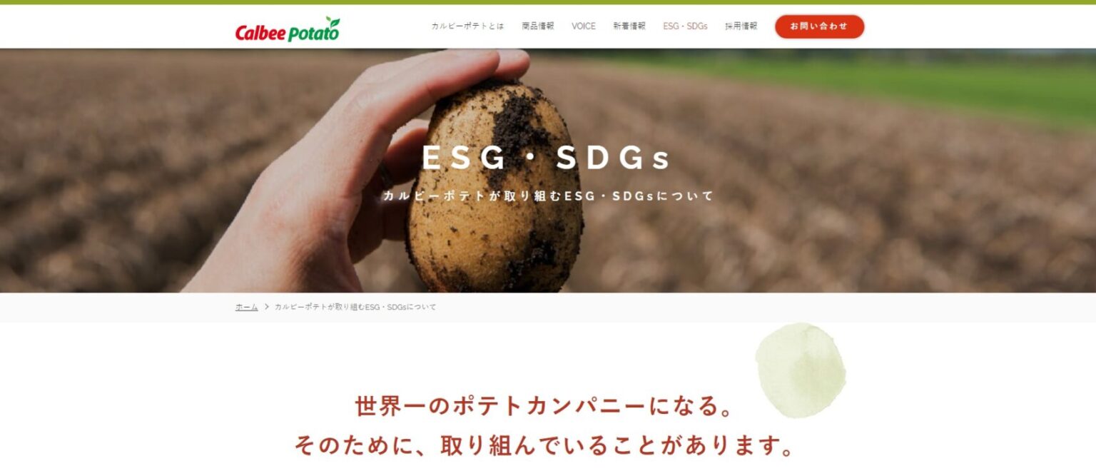 【SDGs取組事例55選】企業の具体的取り組み実例を業種別に紹介！ - coki