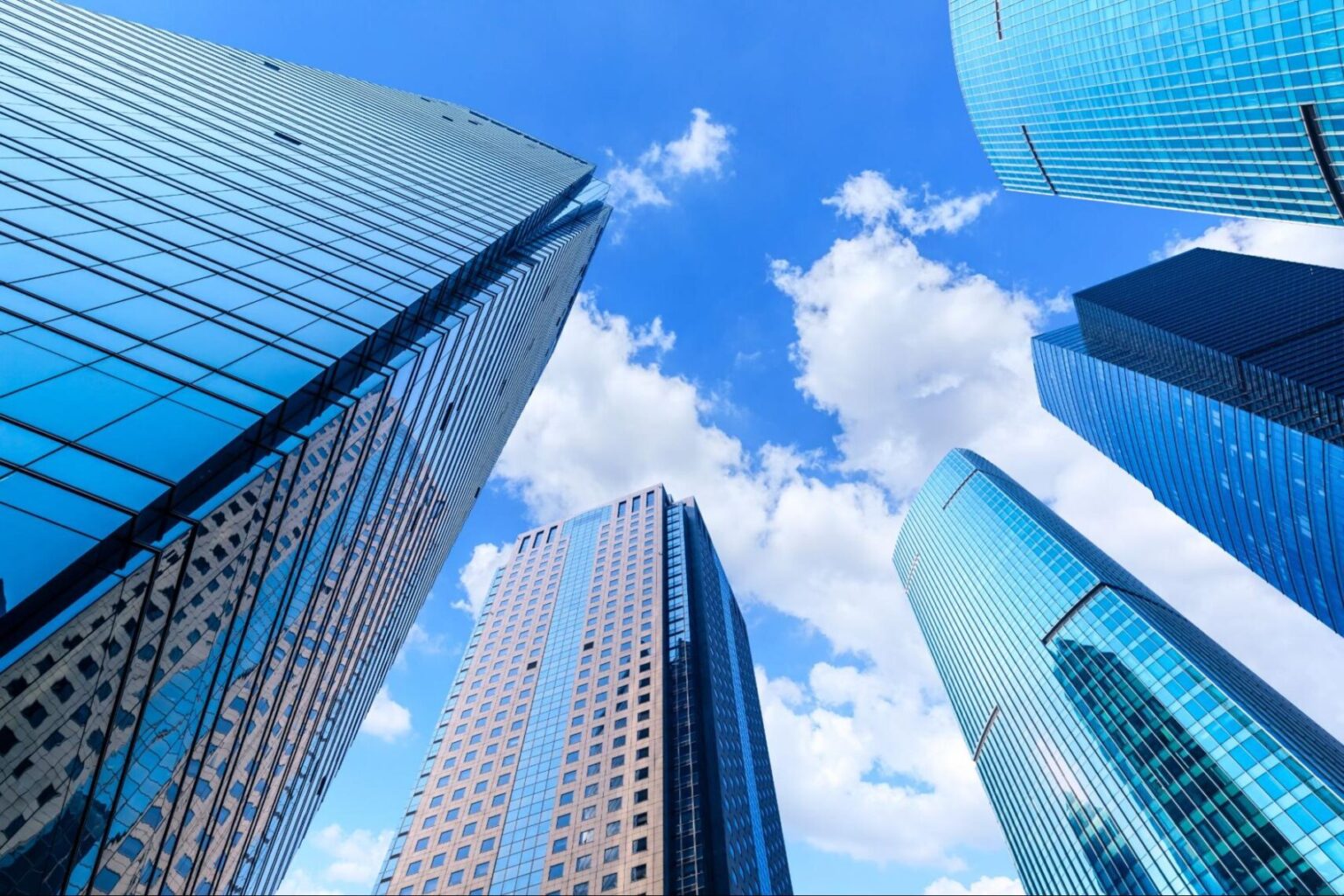 100年企業とは？特徴や実現するための具体的な戦略を解説！ - coki (公器）