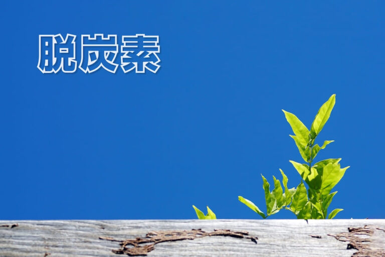 【2024年改訂】中小企業向けSBTとは？参加のメリットからCO2排出量算定、削減目標設定までをわかりやすく解説！ - coki (公器）