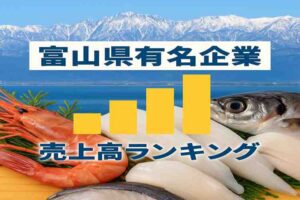 富山県名門企業・有名企業一覧 売上ランキング 〈2025年版解説〉 - coki (公器）